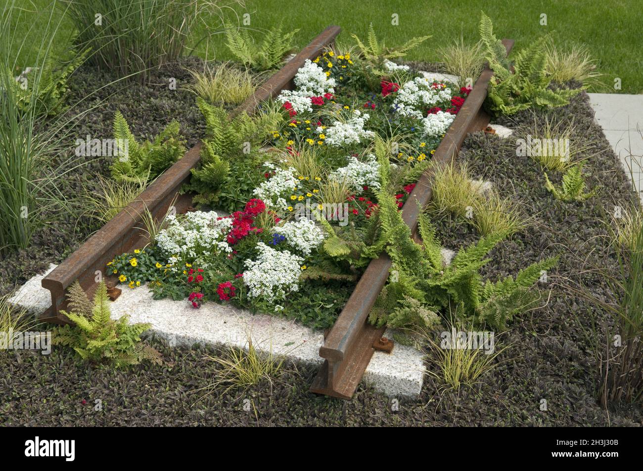 Grave planting, curly worm fern, Dryopteris, filix-mas Stock Photo - Alamy