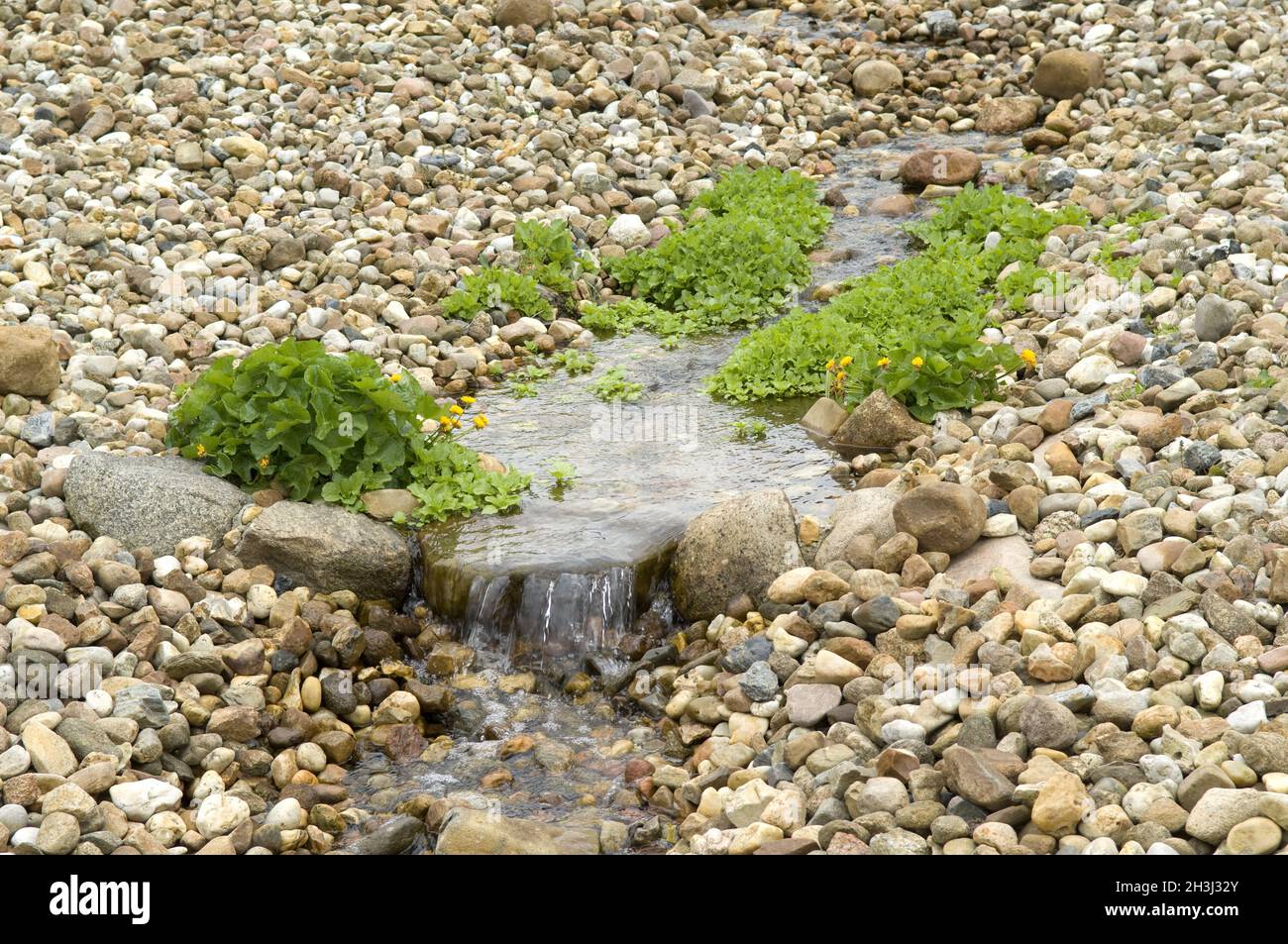 Stream watercourse hi-res stock photography and images - Alamy