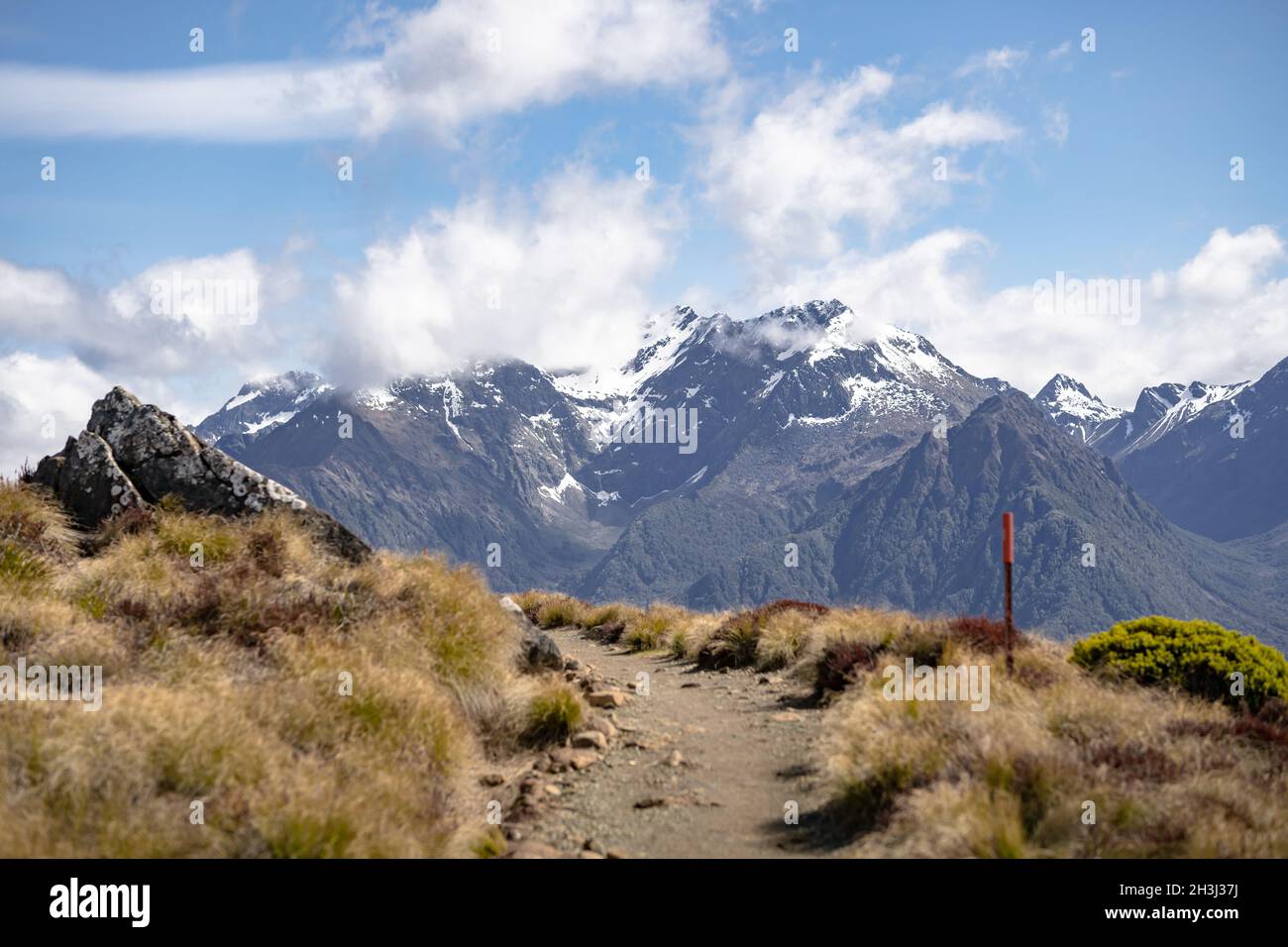 View on Kepler track in New Zealand Stock Photo - Alamy