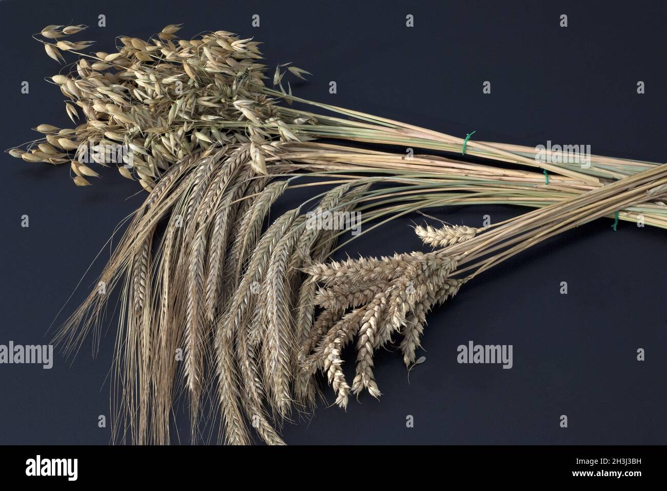 Oats, rye, barley, wheat, carrots Stock Photo - Alamy