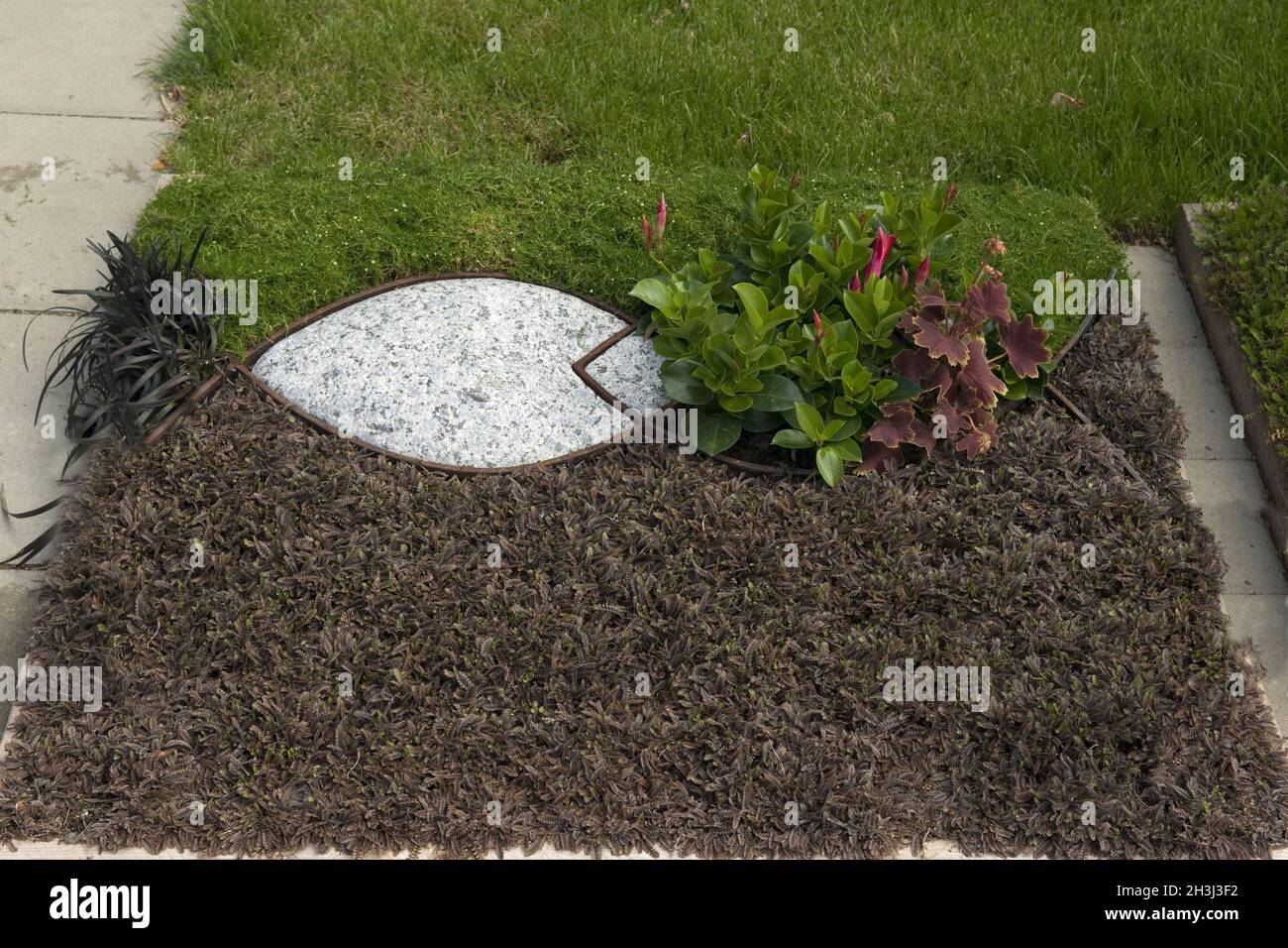 Planting stones hi-res stock photography and images - Alamy