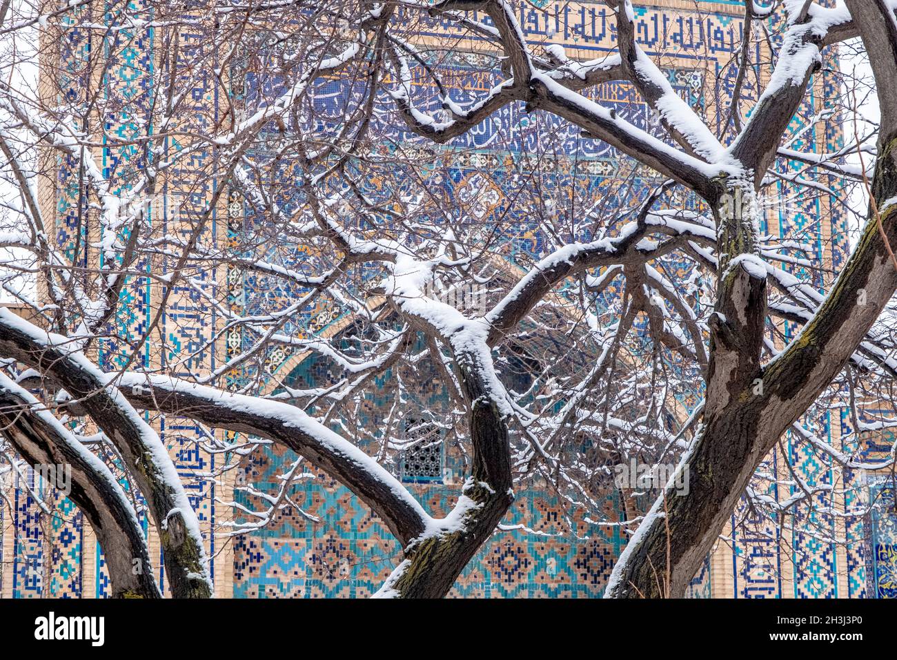 Snow rests on trees at the Bibi Khanum Mosque, Registan Square ...