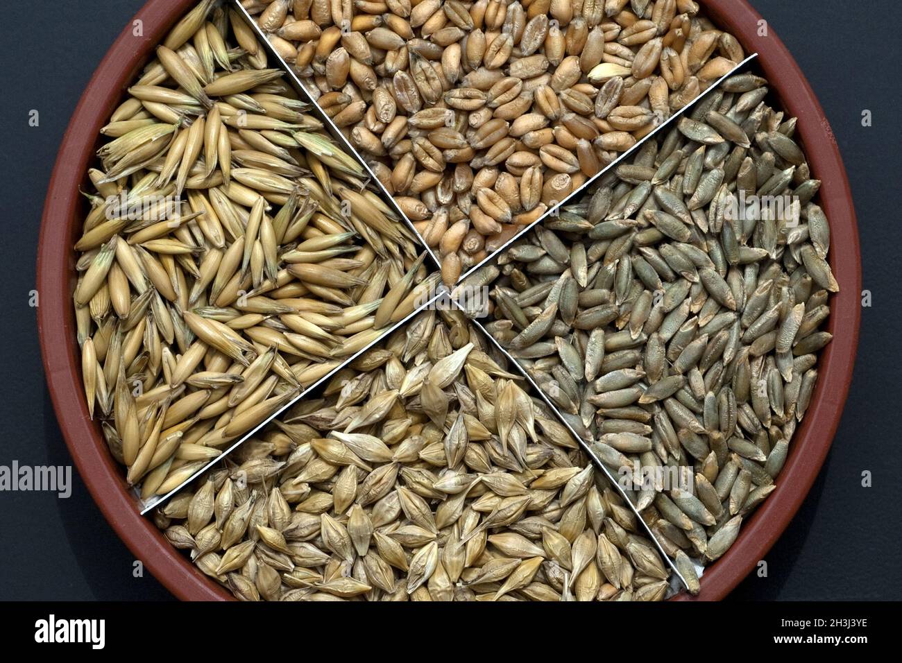 Grain varieties; cereals; cereal grains Stock Photo - Alamy