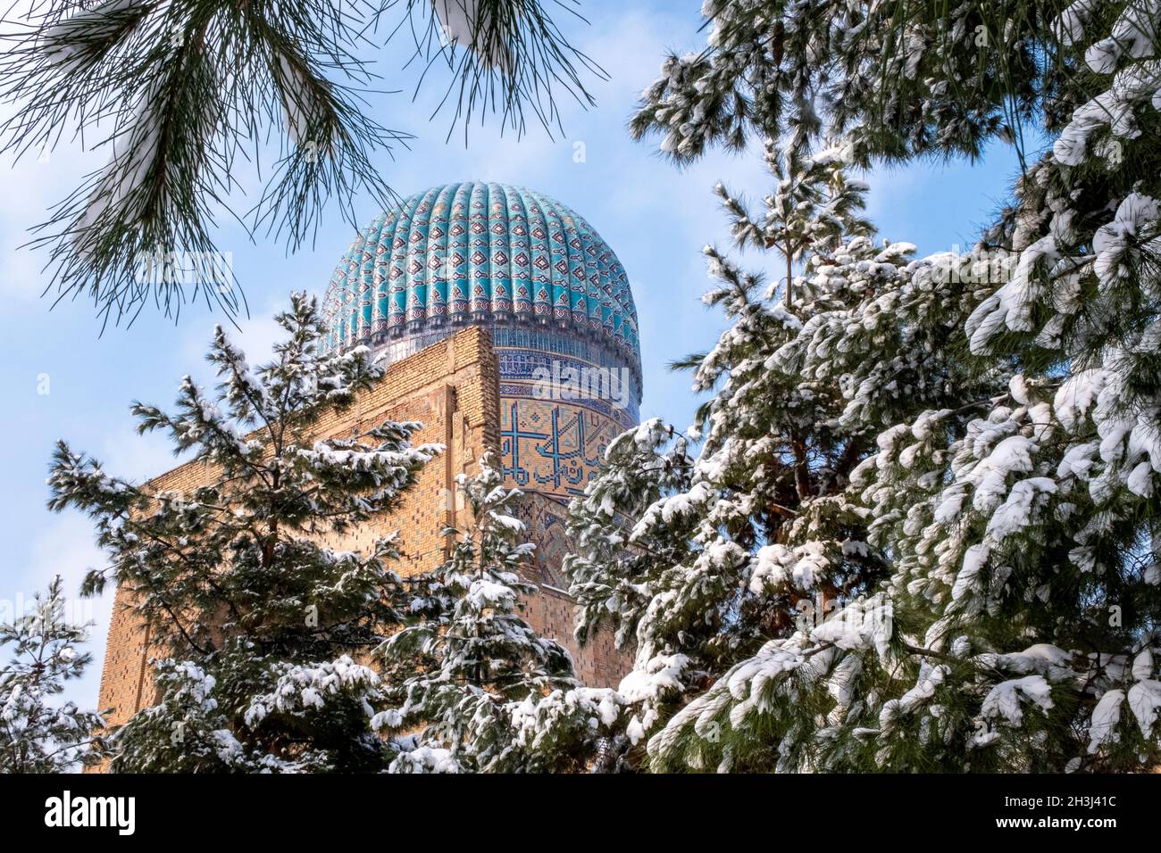 Snow rests on trees at the Bibi Khanum Mosque, Registan Square ...