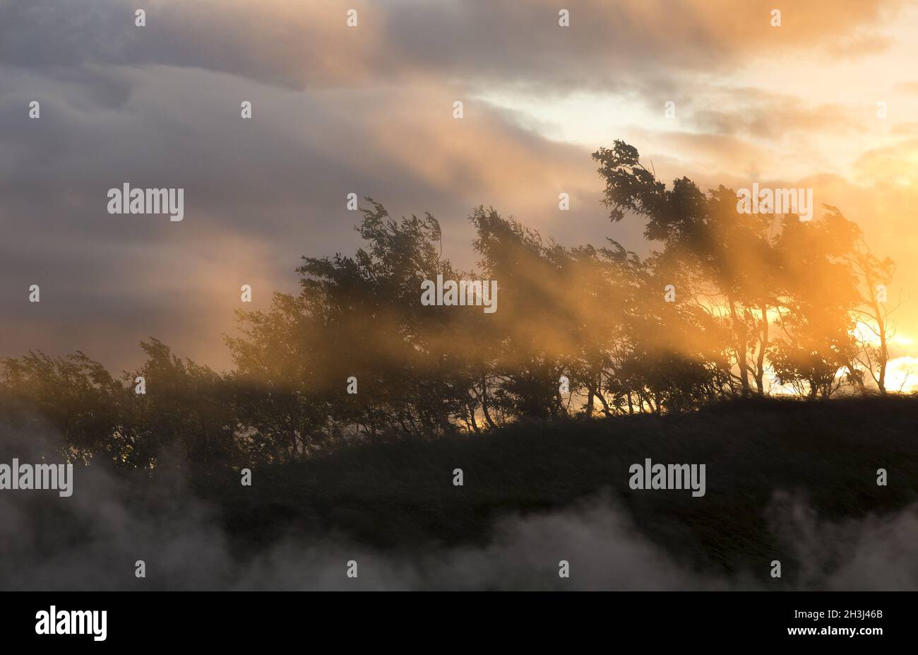 Hot Fog Above Geothermal Springs in backlight Stock Photo - Alamy