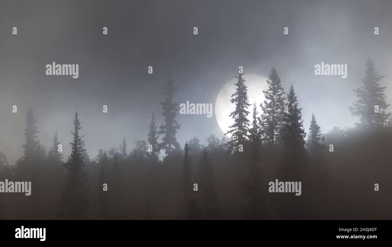 Fog - Yukon Stock Photo - Alamy