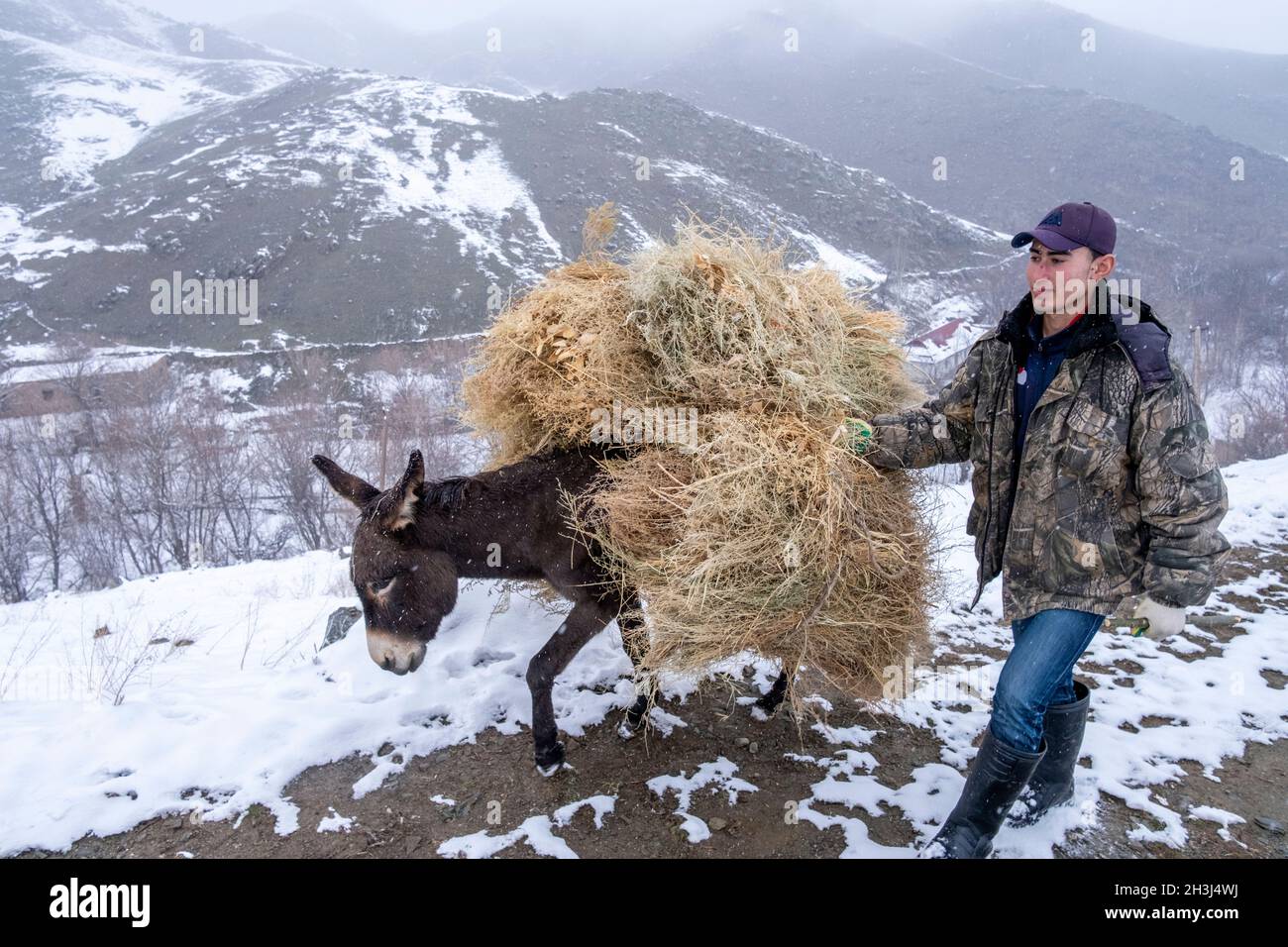 Donkey track hi-res stock photography and images - Alamy