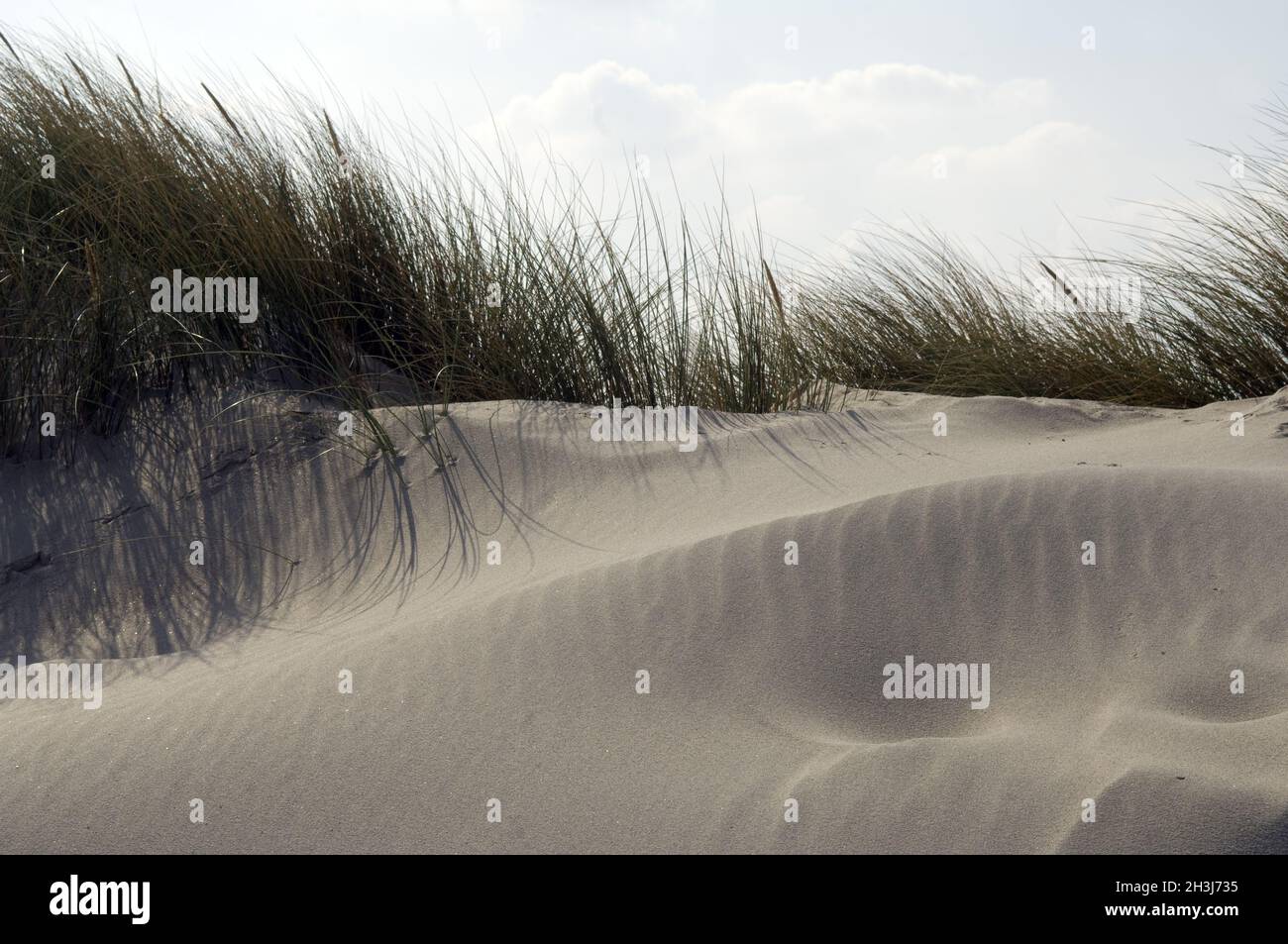 Beach grass sea hi-res stock photography and images - Alamy