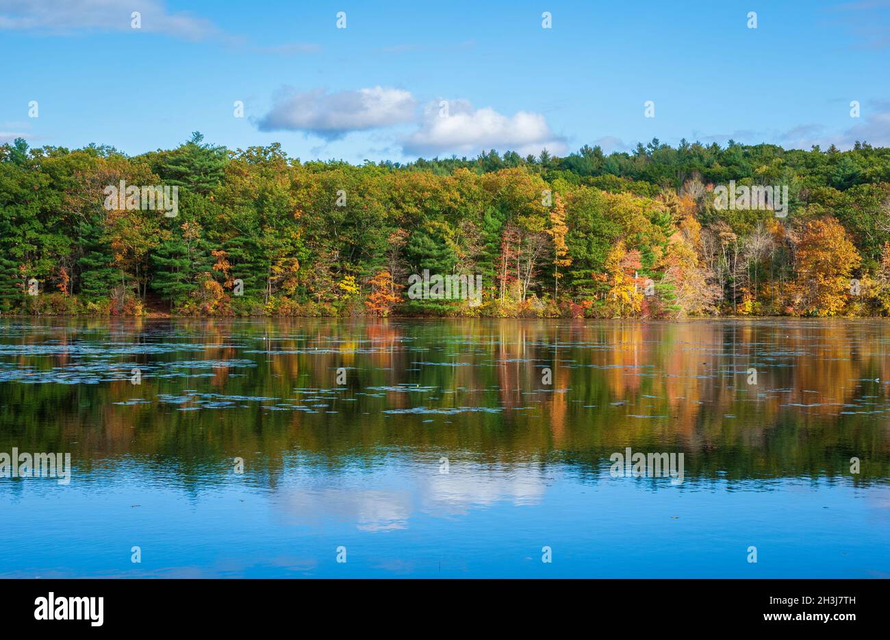 Scenic view of the Eames Pond, in Moore State Park, MA. Glorious fall ...