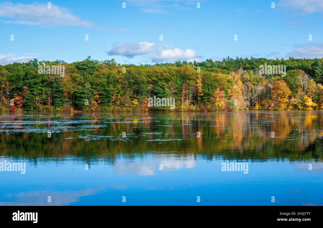 Scenic view of the Eames Pond, in Moore State Park, MA. Glorious fall ...