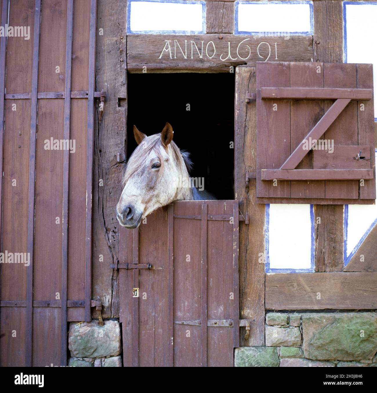 Half door at stables hi-res stock photography and images - Alamy