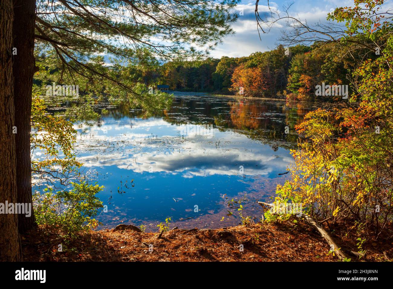 Eames pond hi-res stock photography and images - Alamy