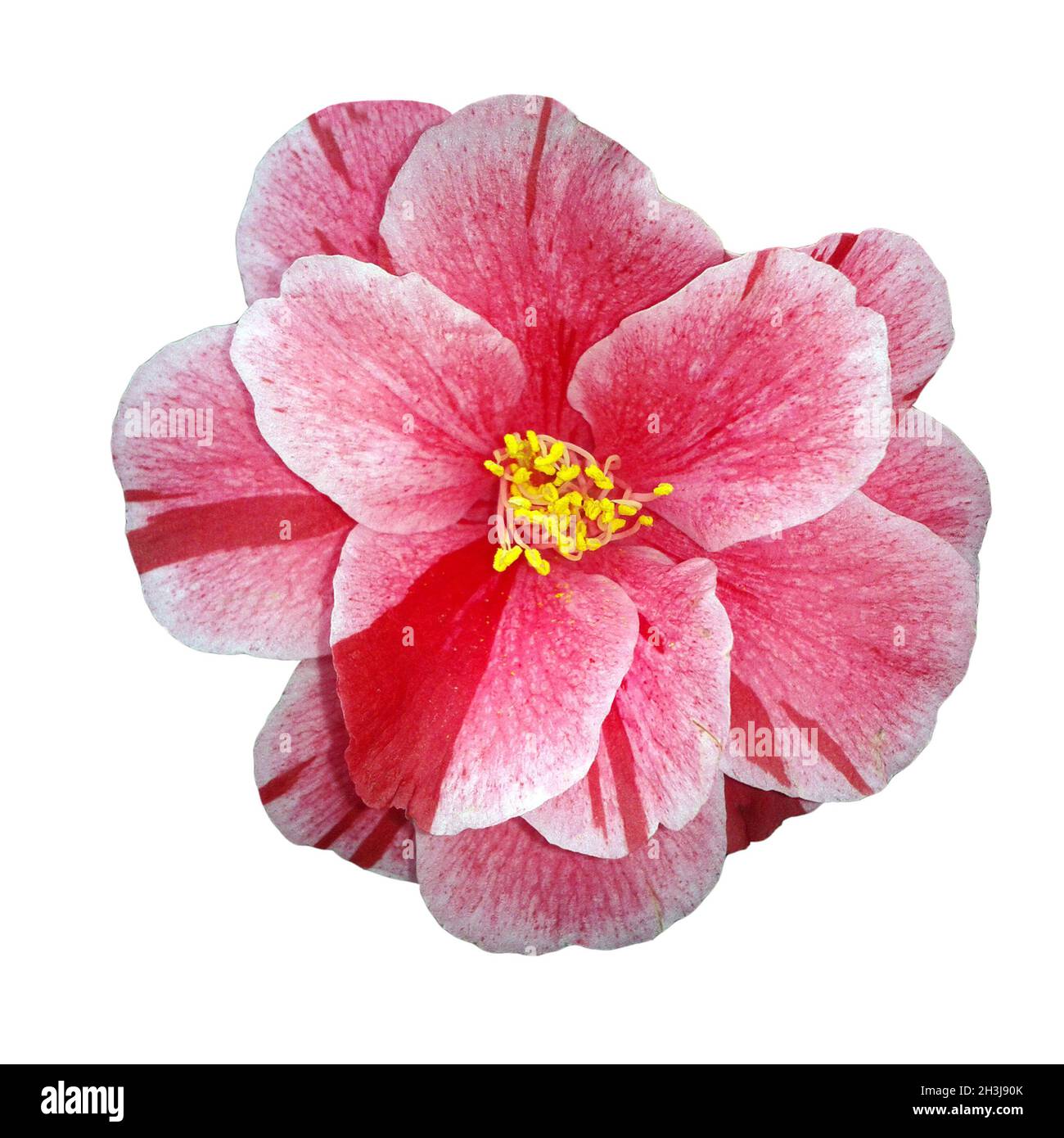 Oki hi-res stock photography and images - Alamy