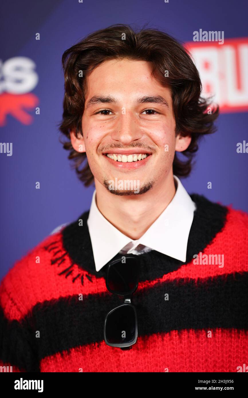 Hamburg, Germany. 28th Oct, 2021. Noah Levy (singer) arrives on the Red ...