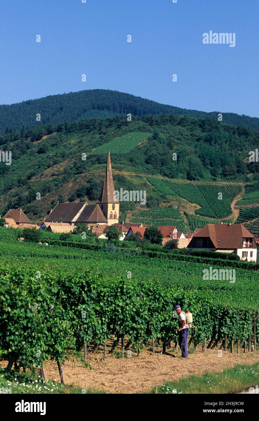 Haut rhin 68 hi-res stock photography and images - Alamy