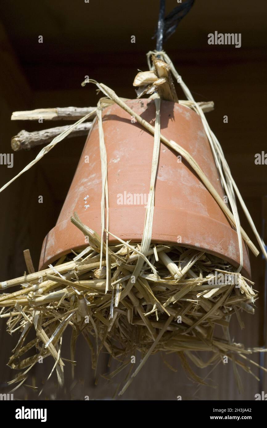 Straw pot hi-res stock photography and images - Alamy