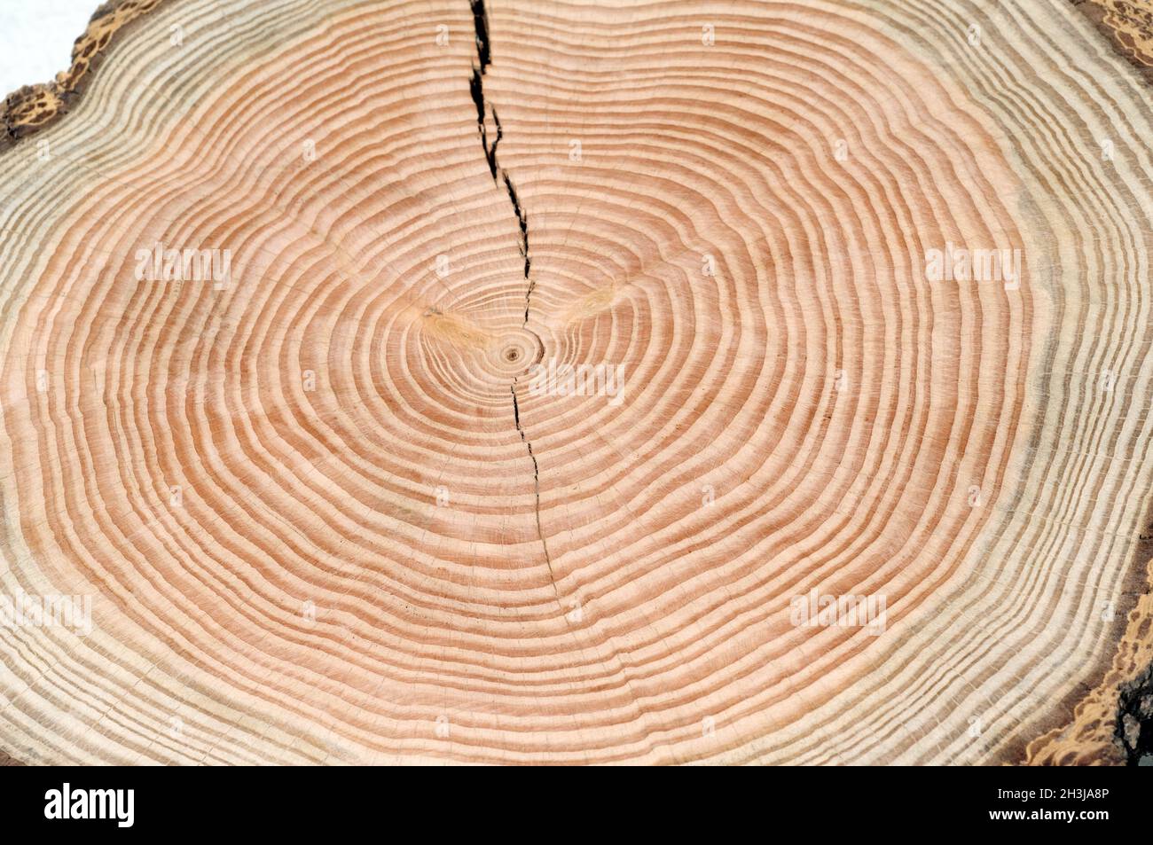 Wooden disks hi-res stock photography and images - Alamy