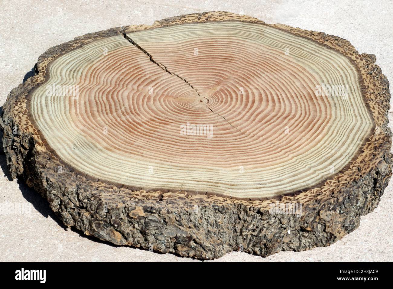 Annular structure hi-res stock photography and images - Alamy