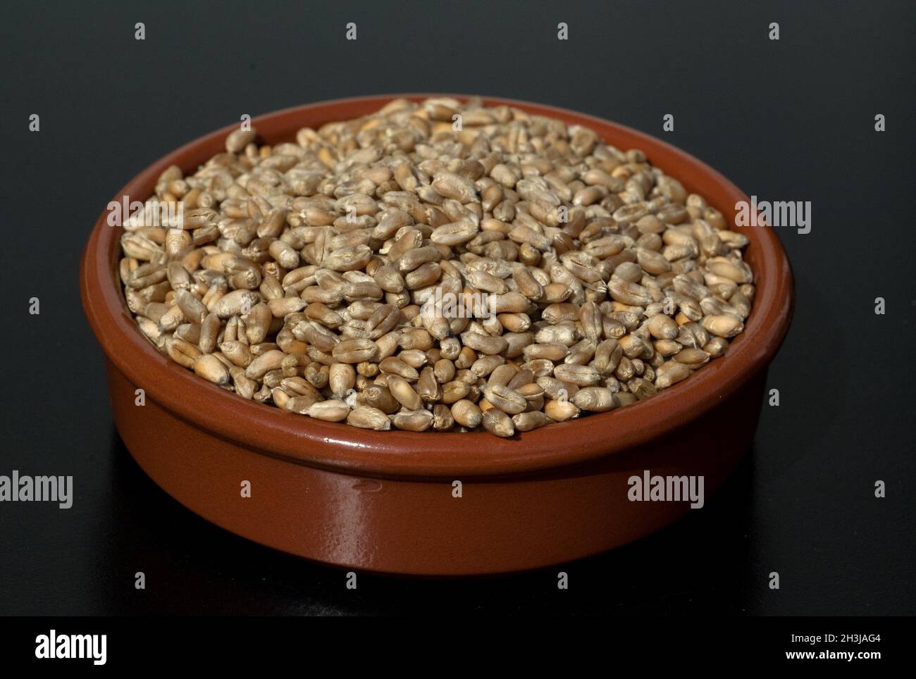 Triticum x secale hi-res stock photography and images - Alamy