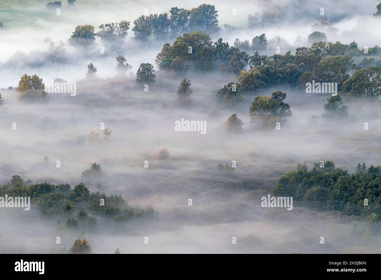 Mountain forest wrapped by mist in autumn season Stock Photo - Alamy