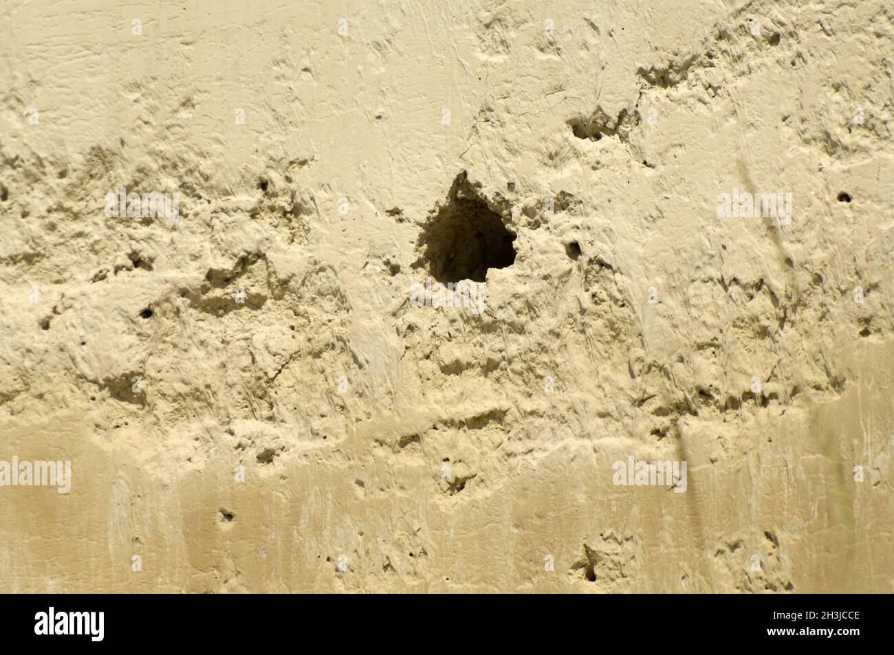 Nesting cave, loess wall, loess floor, bee-eater Stock Photo - Alamy