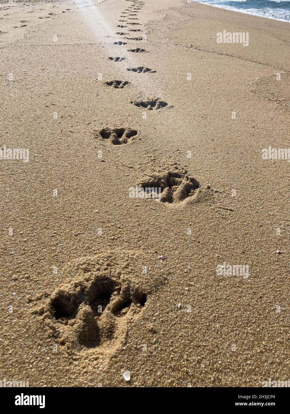 Empty beach view with no people ocean and sea -- foot print, footprint ...