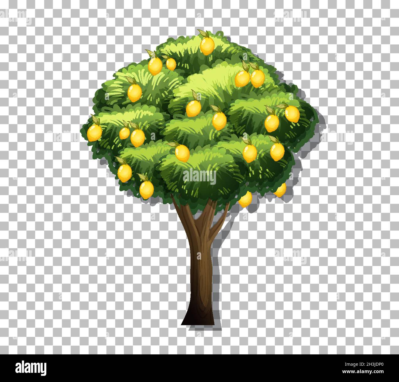 Lemon tree on transparent background illustration Stock Vector Image ...