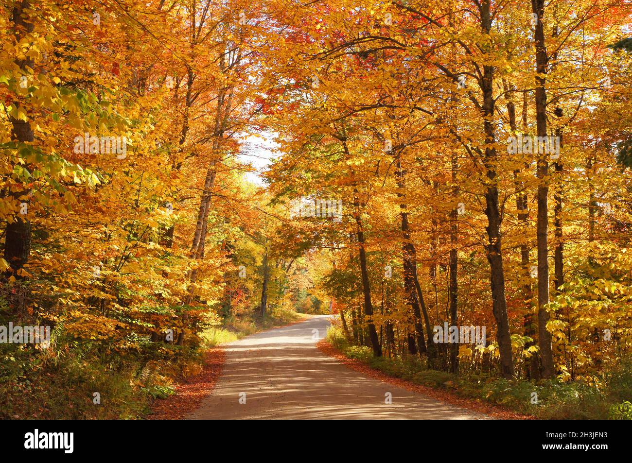 Fall color along a country lane in autumn at Lake Placid, New York ...