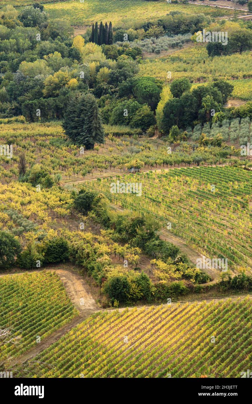 Tuscan wine fields hi-res stock photography and images - Alamy