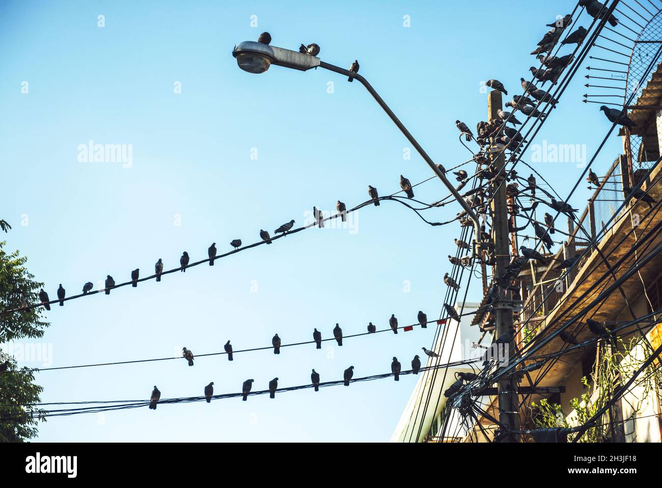 Electrical wire hi-res stock photography and images - Alamy