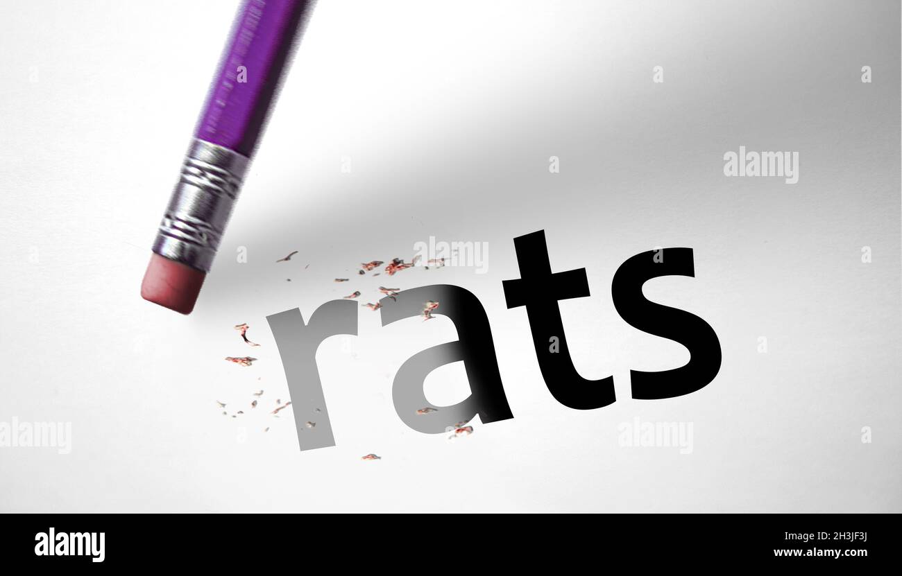 Eraser deleting the word Rats Stock Photo - Alamy