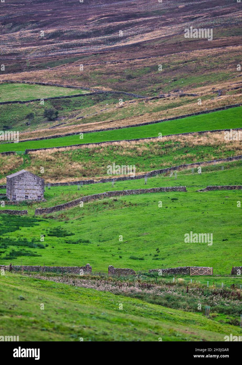 Traditional stone barn farmland and dry stone walls, Langstrothdale ...