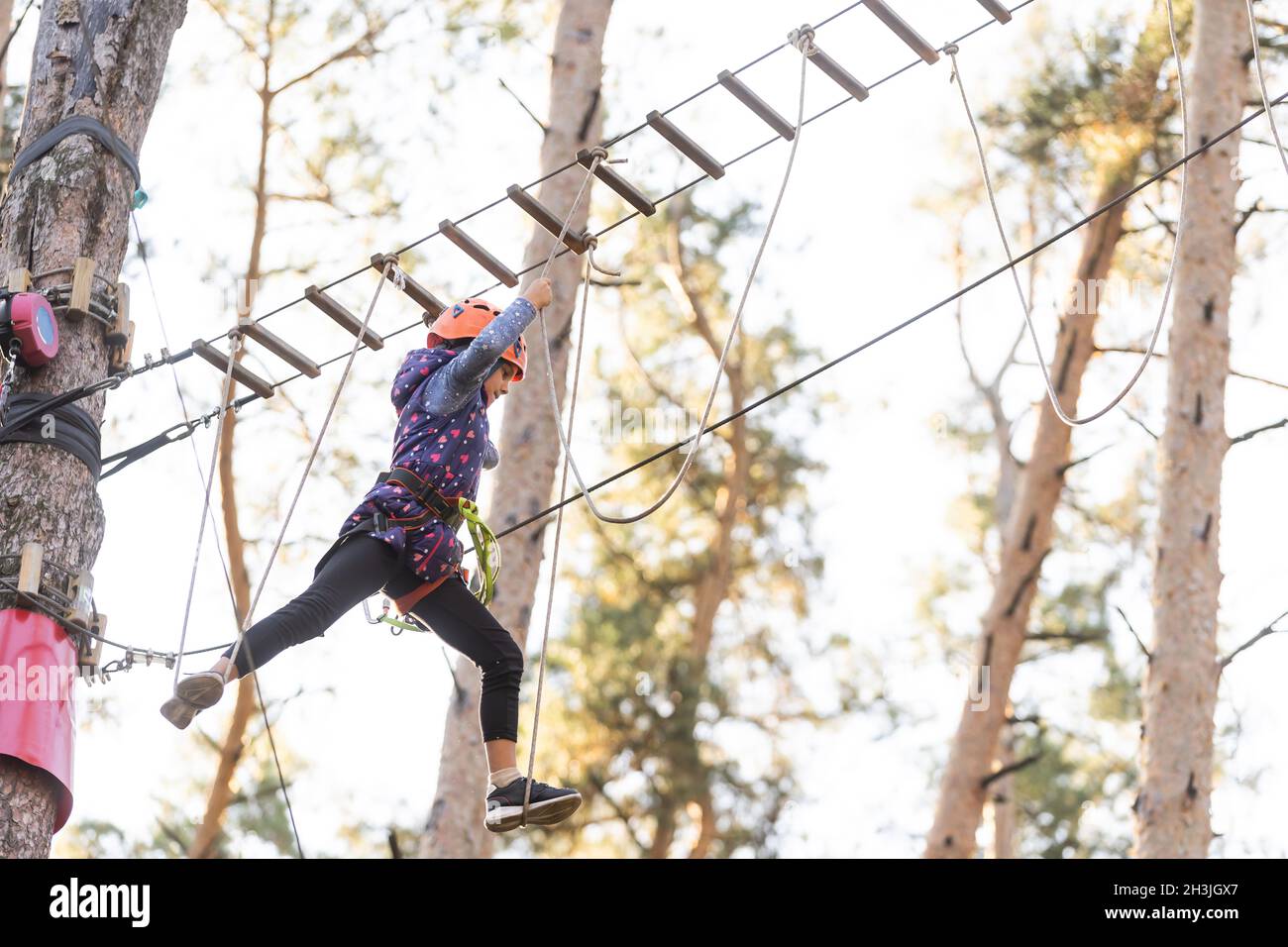 Child in forest adventure park. Kids climb on high rope trail. Agility ...