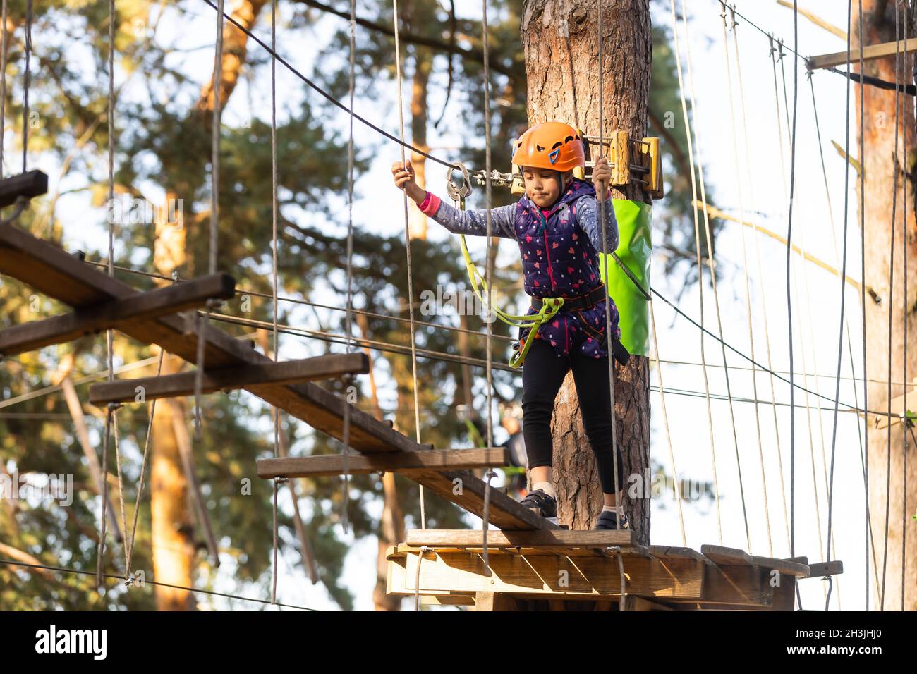 Child in forest adventure park. Kids climb on high rope trail. Agility ...