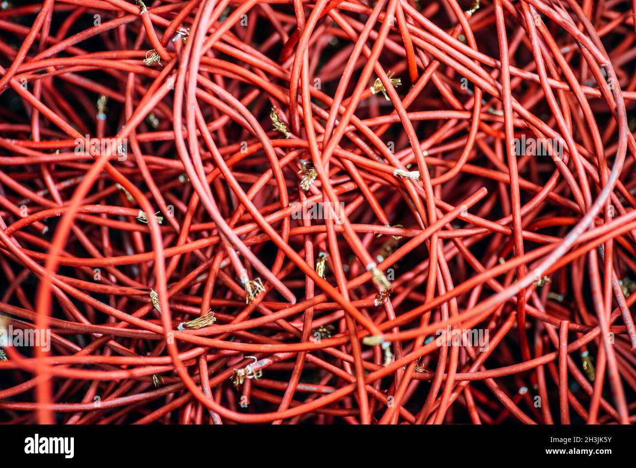 Cable of computer hi-res stock photography and images - Alamy