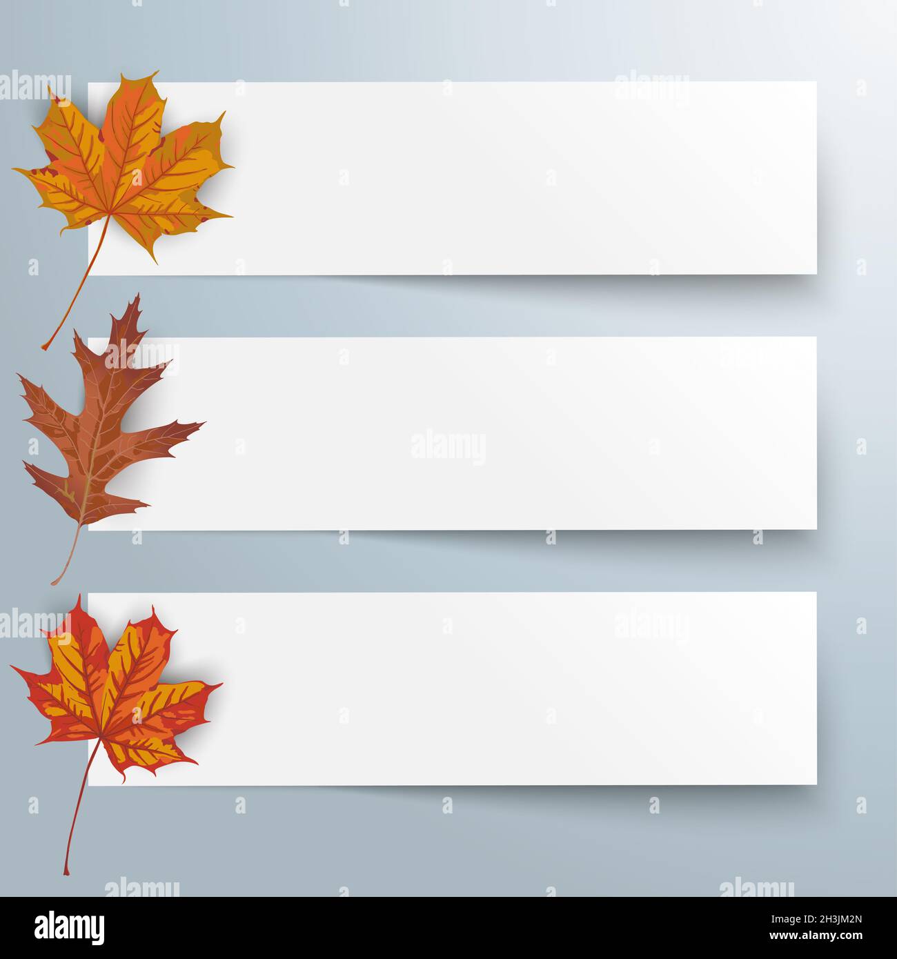 Oblong paper hi-res stock photography and images - Alamy