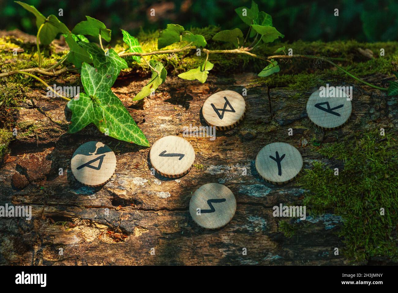 On the trunk of a tree, covered with ivy, are wooden Scandinavian runes ...