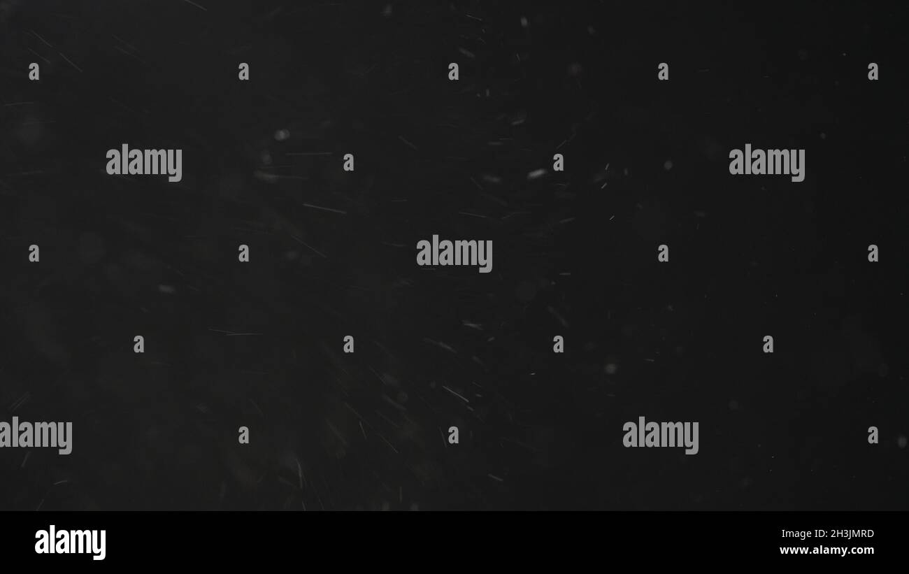 Dust particles float in neutral light on black background, wide photo ...