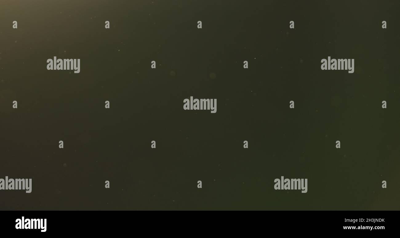 real dust particles floating in air over black background with sunset ...