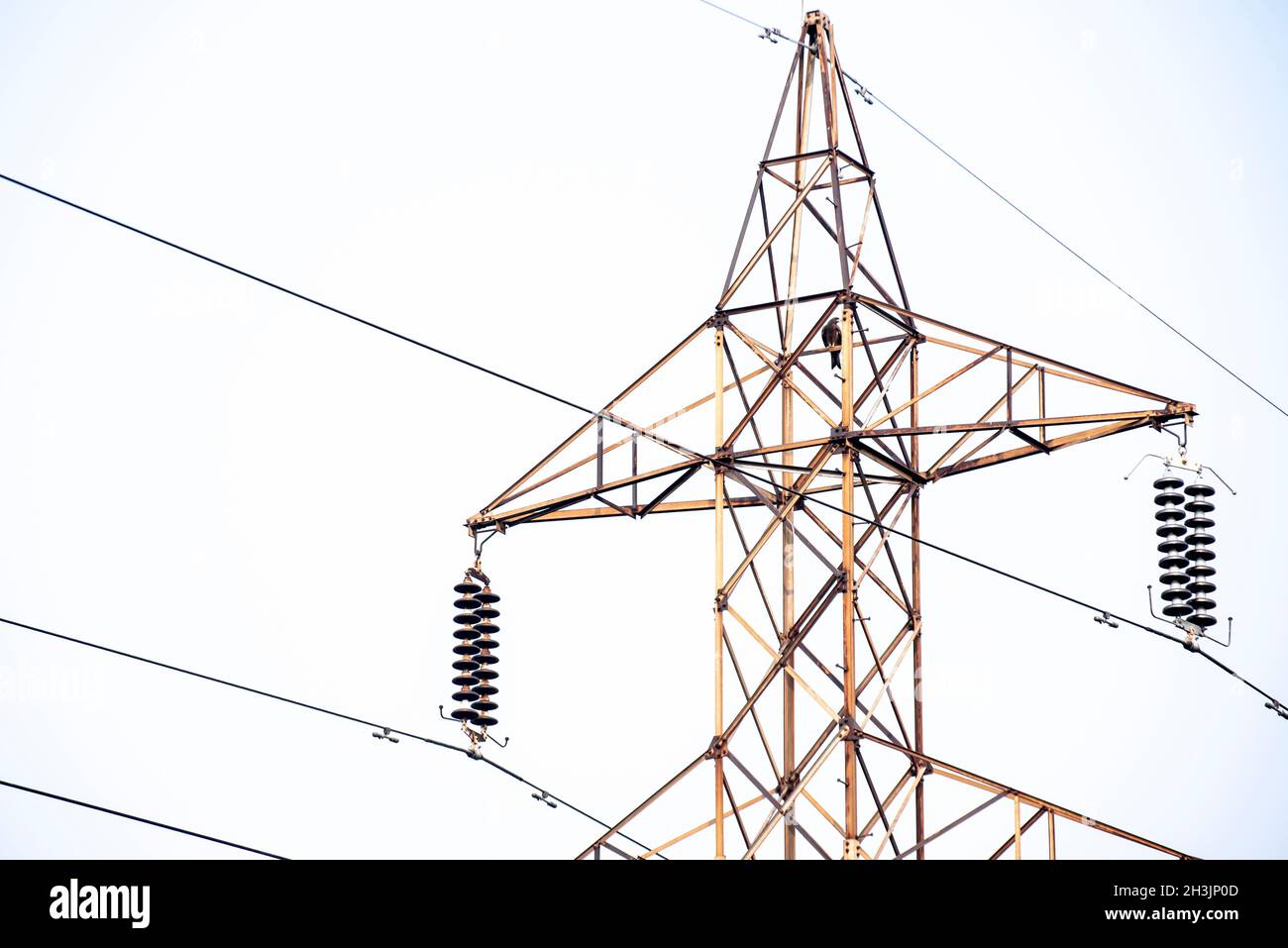 High-voltage electric power line against isolated white background ...