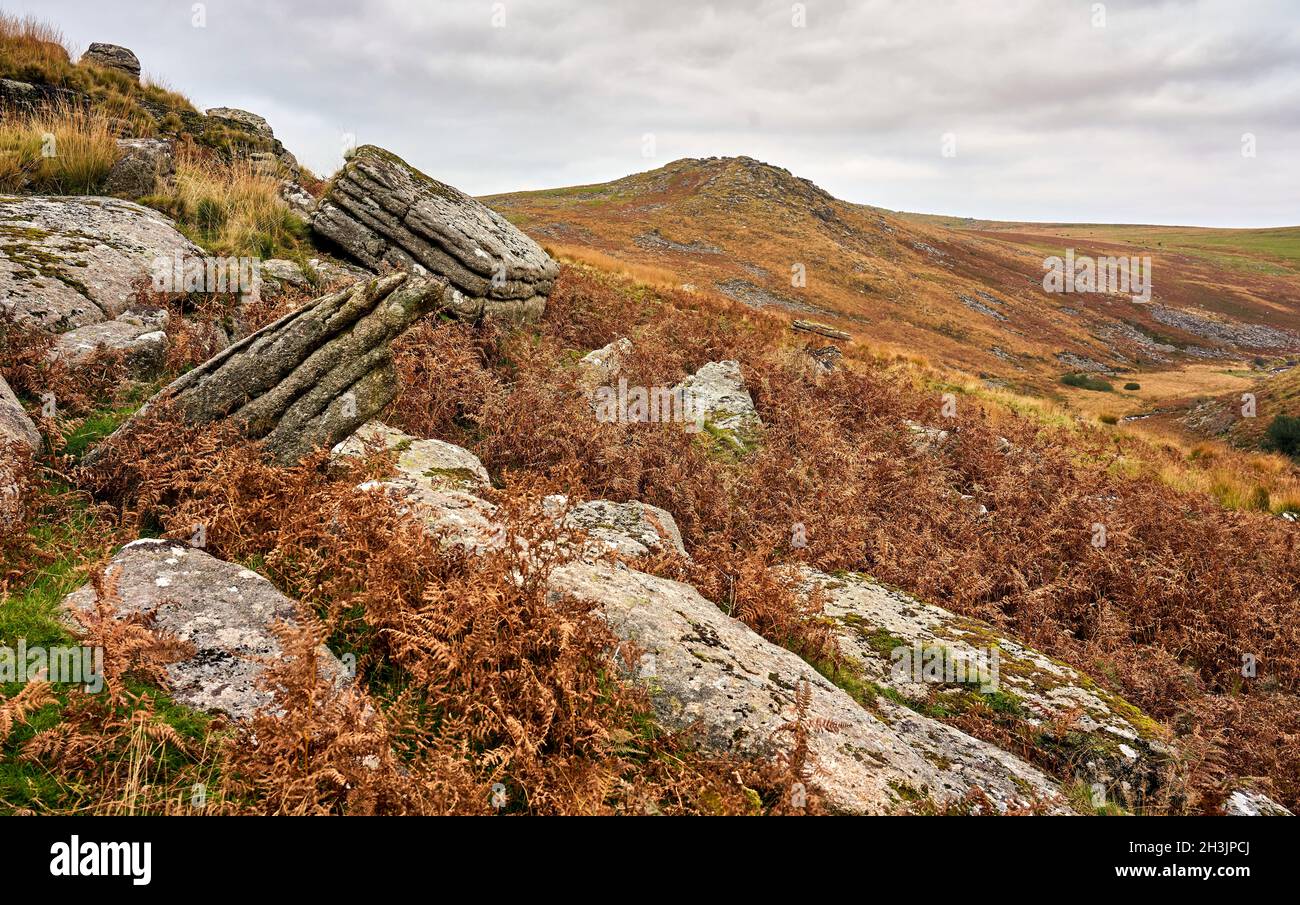 Ger Tor and the River Tavy valley from Nat Tor on Dartmoor Devon UK ...