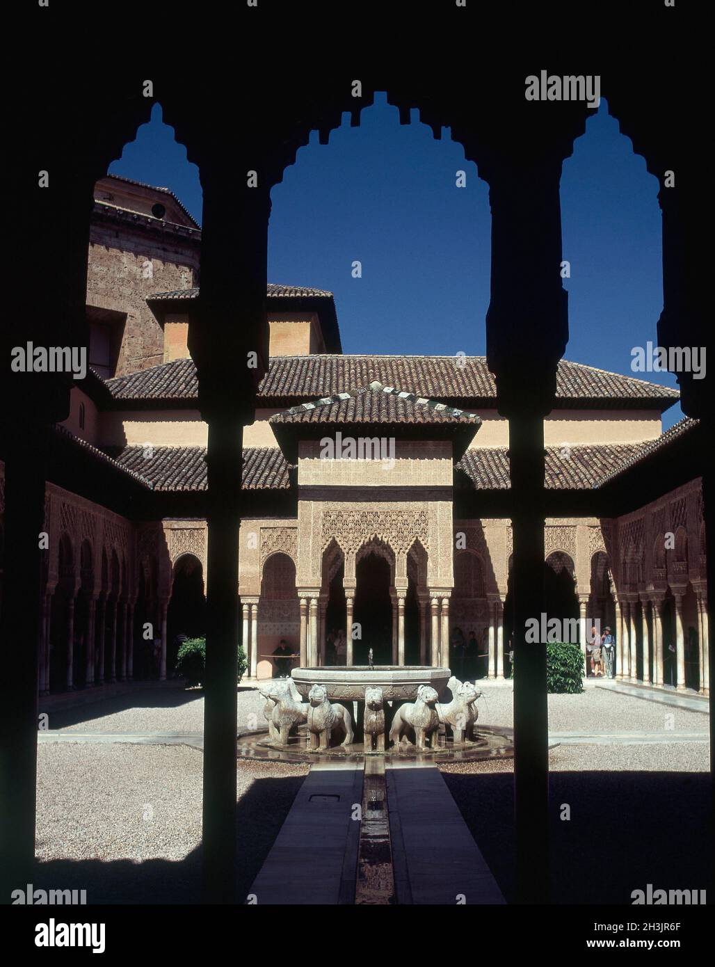 PATIO DE LOS LEONES CONSTRUIDO POR MUHAMMAD V - S XIV. Location ...
