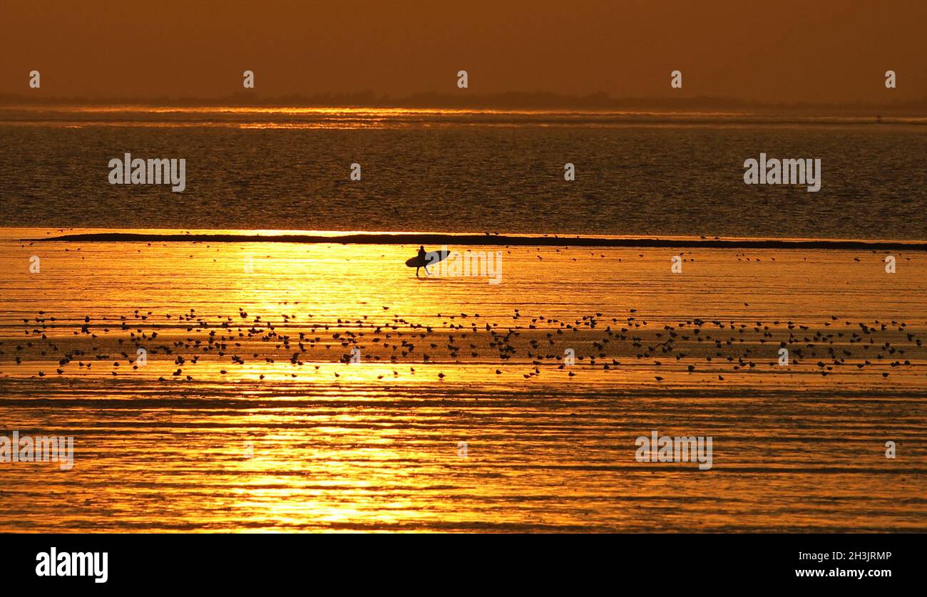 Heacham, UK. 26th Oct, 2021. A paddleboarder heading out to sea on a ...