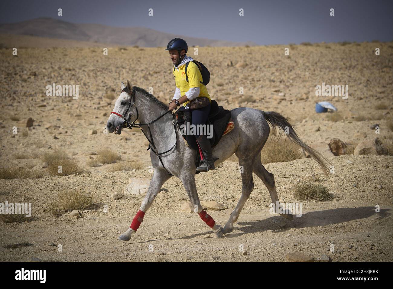 2021 cheval hi-res stock photography and images - Alamy