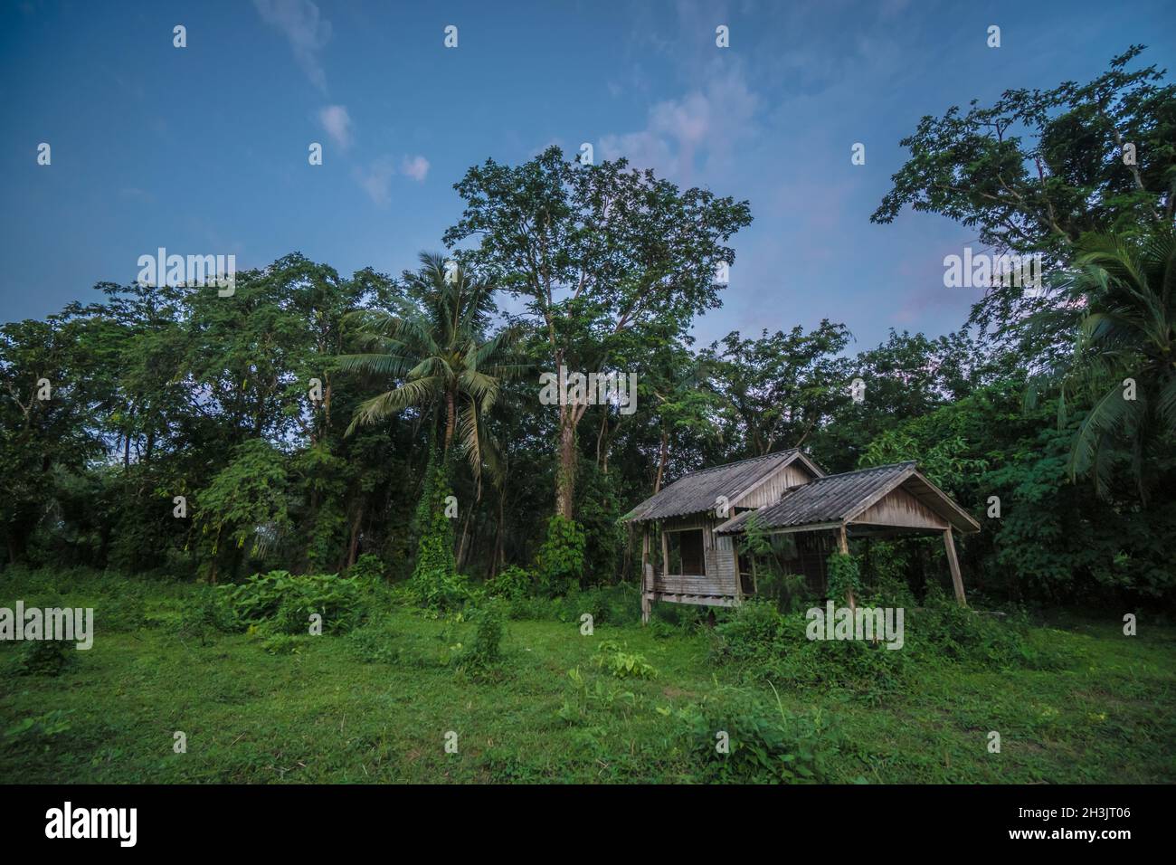 Abandoned wooden cottage hi-res stock photography and images - Alamy