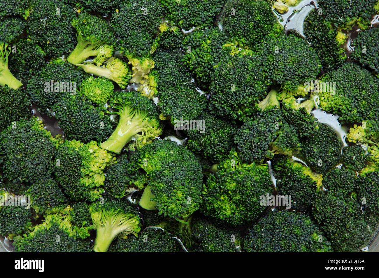Broccoli texture closeup Stock Photo - Alamy