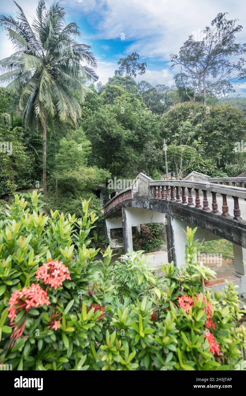 Calm flowing flow bridge hi-res stock photography and images - Alamy