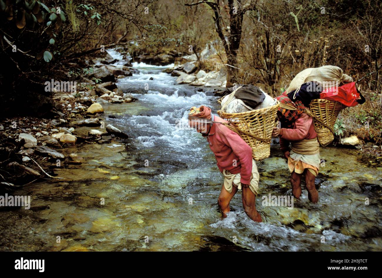 Nepal, Porter of Himalaya Stock Photo - Alamy