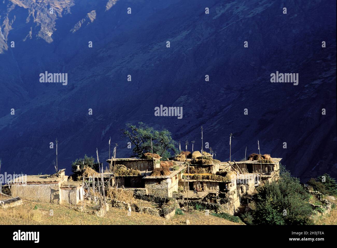 Nepal, Rukum area, Kham Magar ethnic group shaman Stock Photo - Alamy