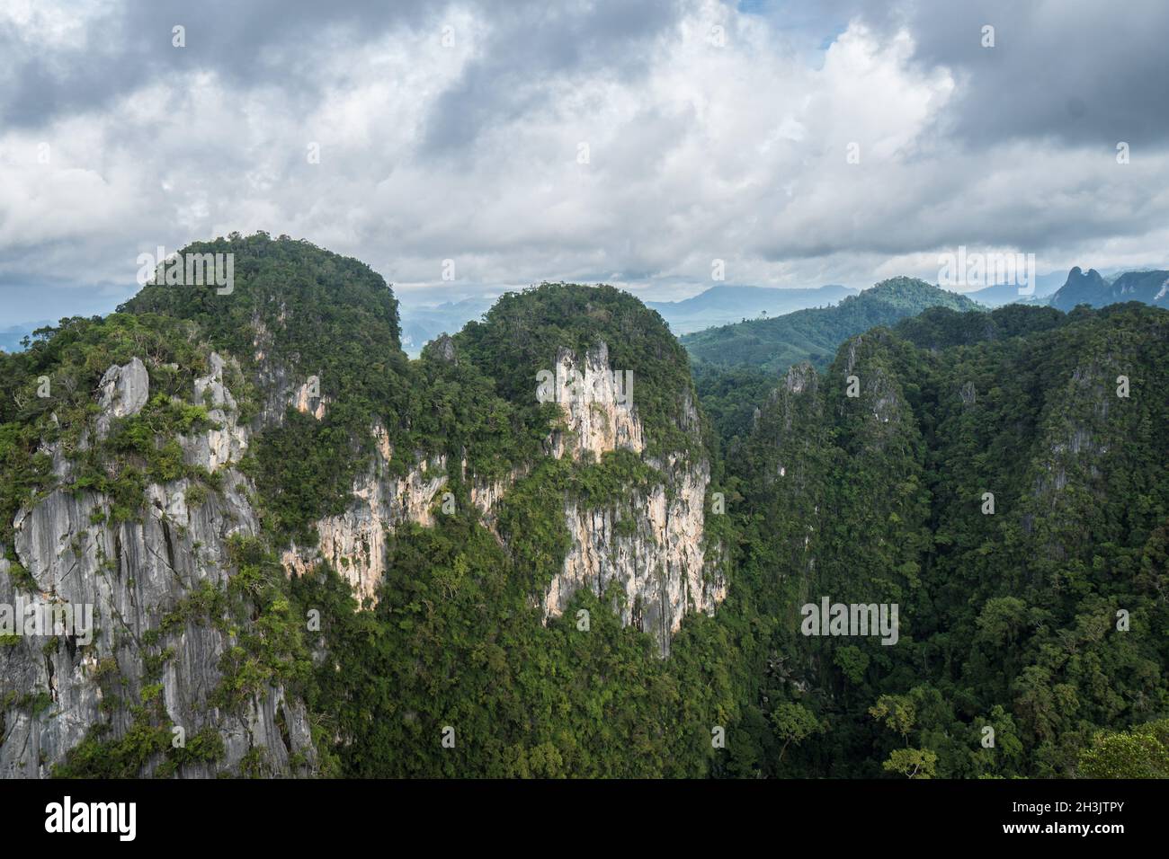 Tiger top view hi-res stock photography and images - Alamy
